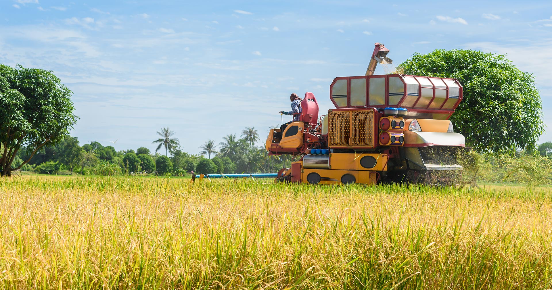 Rano Rice Mill – AARano Nigeria